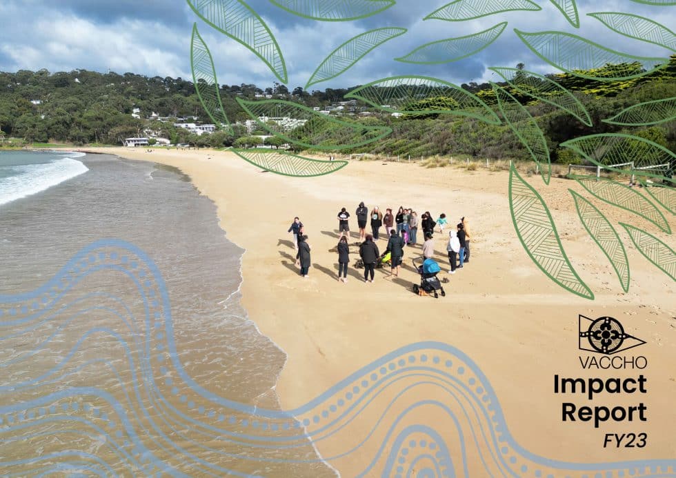 5 Year Strategy - VACCHO