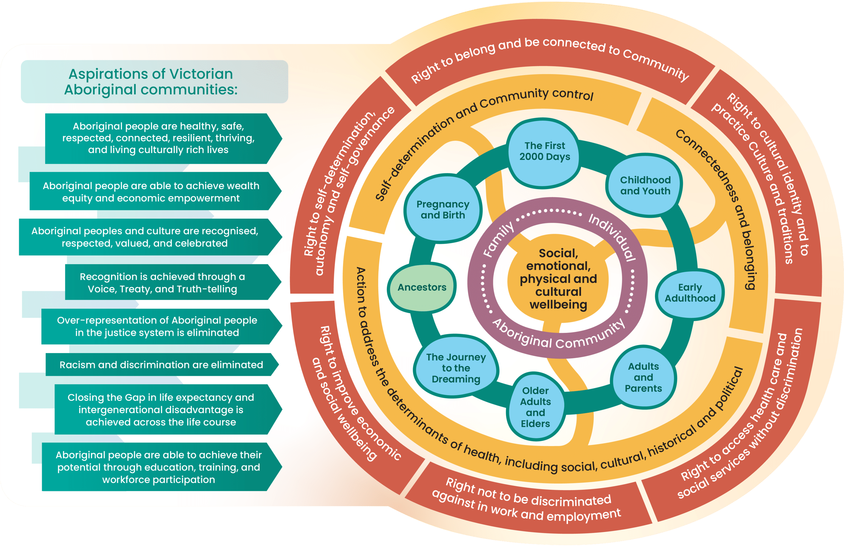 The Victorian ACCO Model - VACCHO