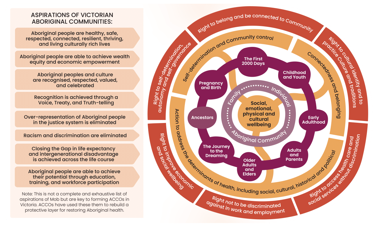 The Victorian ACCO Model - VACCHO