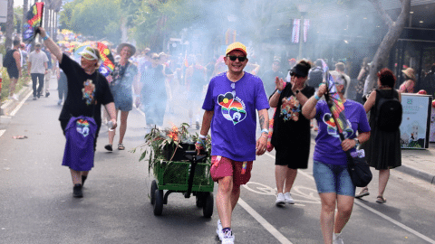 Rainbow Mob - VACCHO